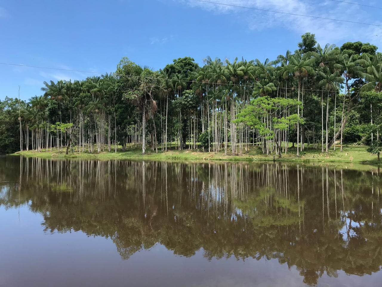 O que fazer em Rio Branco: 10 passeios imperdíveis » Turismo de Natureza