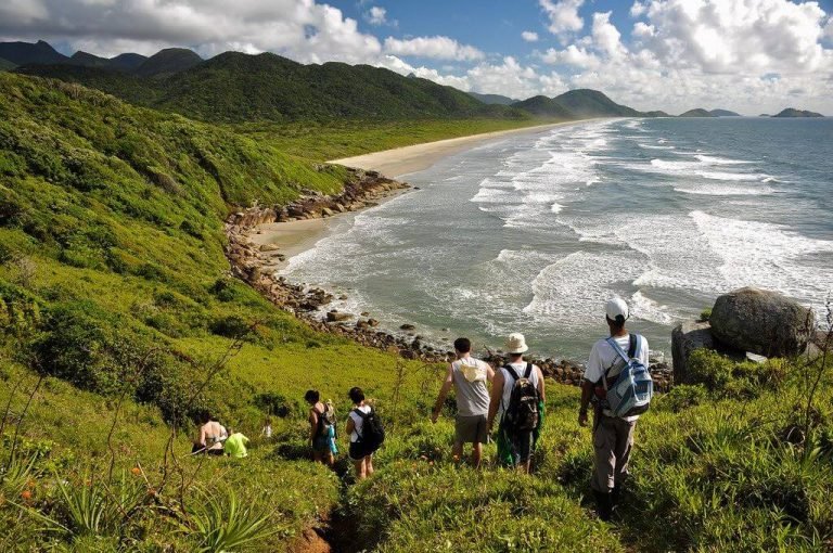 O que fazer na Ilha do Cardoso - Ecoturismo » Turismo de Natureza