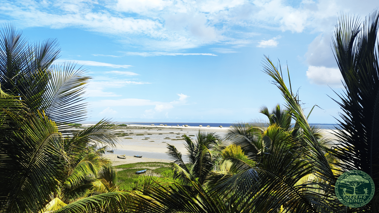 As 10 Melhores Praias do Pará » Turismo de Natureza