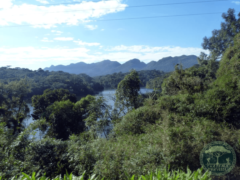 Train Ride from Curitiba to Morretes – The Complete Guide » Turismo de ...