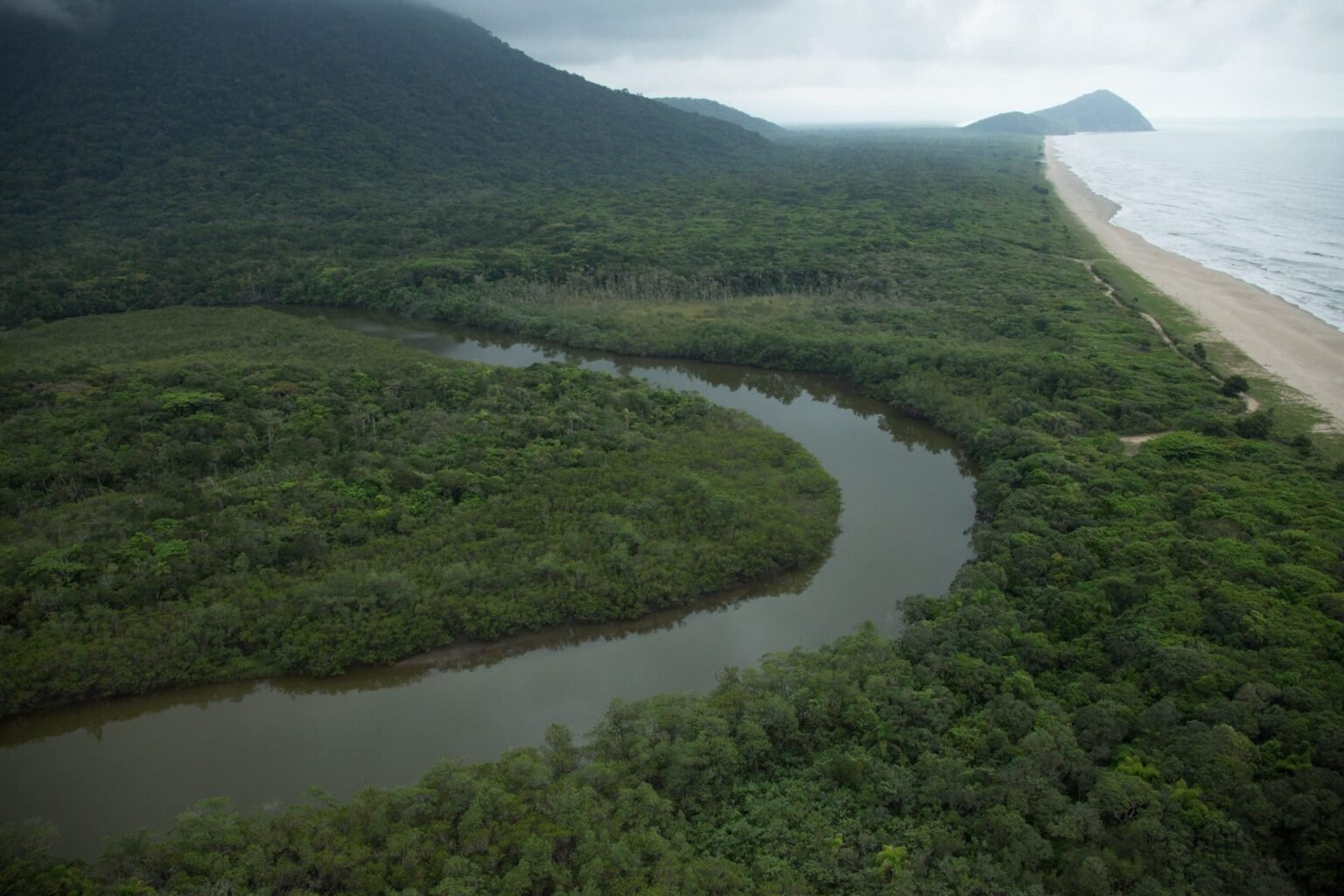 Descubra 27 curiosidades sobre a Mata Atlântica » Turismo de Natureza