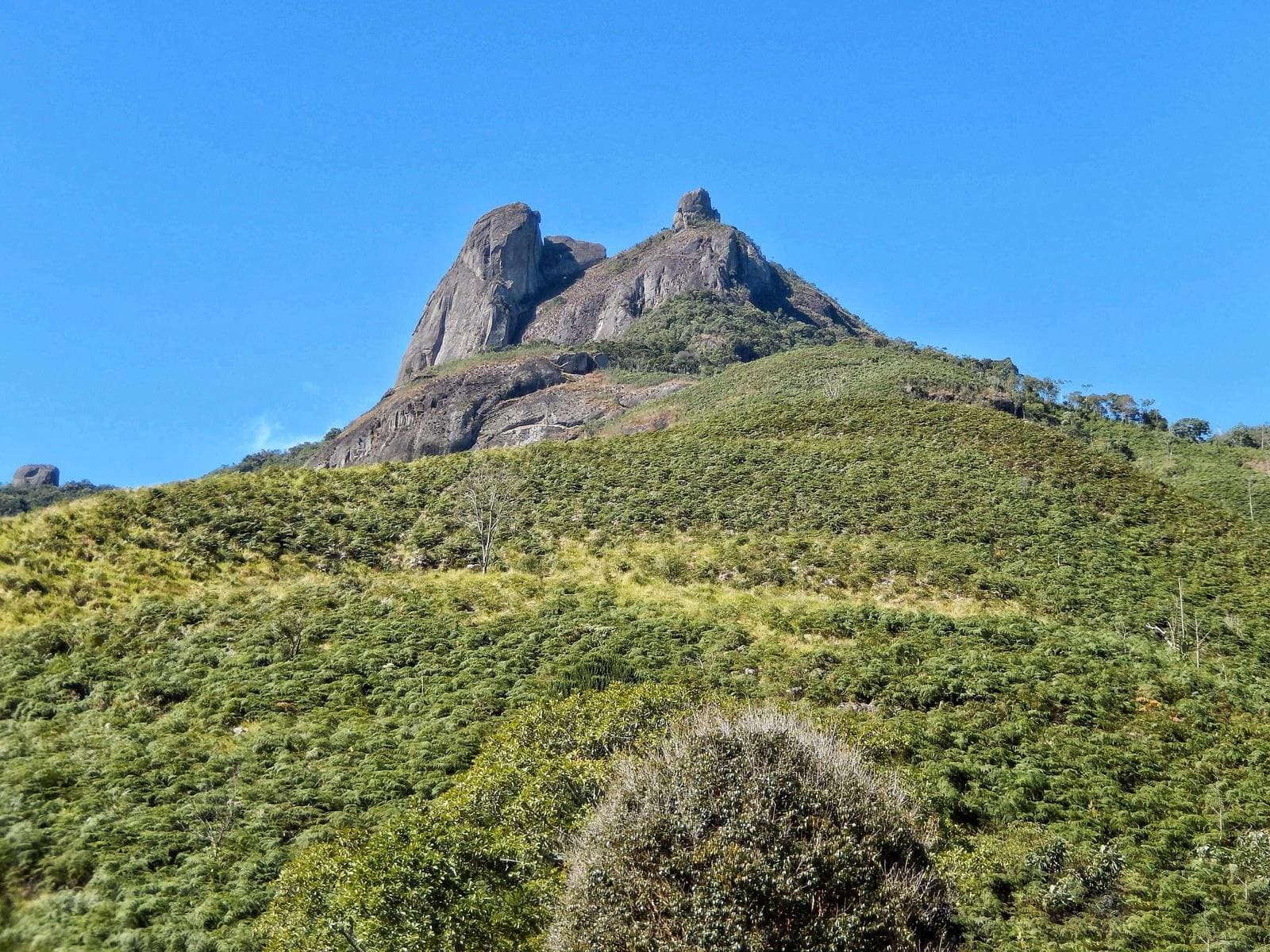 Trilha da Pedra Selada: Natureza e Aventura » Turismo de Natureza