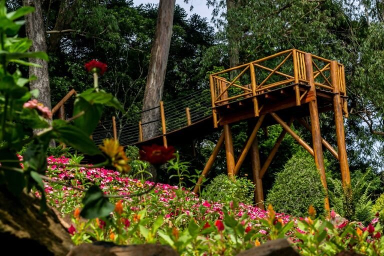 O que fazer em Santo Antônio do Pinhal - Guia Completo » Turismo de ...