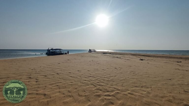 O que fazer em Alter do Chão: 40 Passeios Imperdíveis » Turismo de Natureza