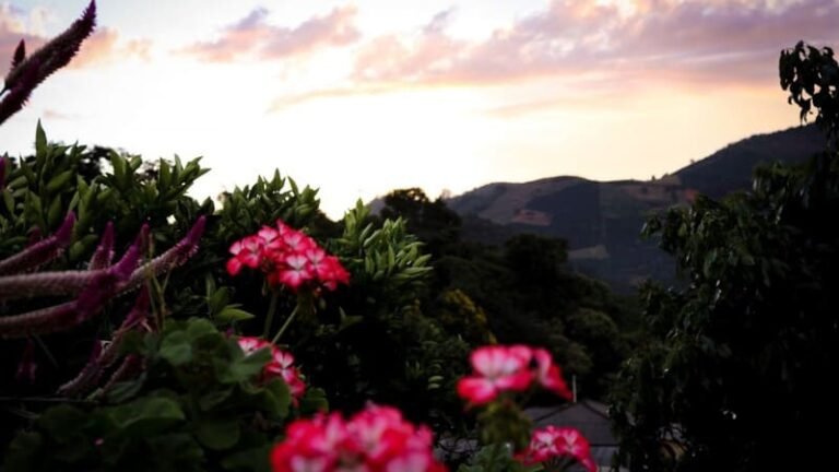 Ecoturismo em Iúna: Desvendando Tesouros Naturais » Turismo de Natureza