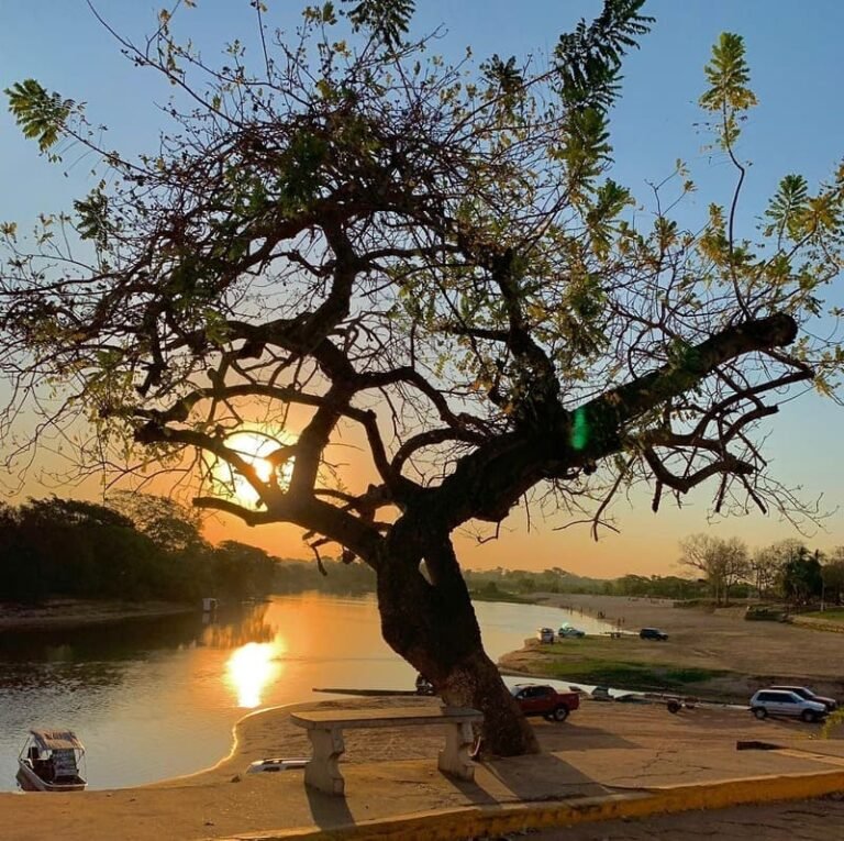 O que Fazer em Cáceres: A Princesinha do Pantanal » Turismo de Natureza