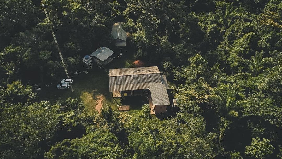 Descubra Alta Floresta: Um Paraíso Amazônico no Coração de Mato Grosso ...