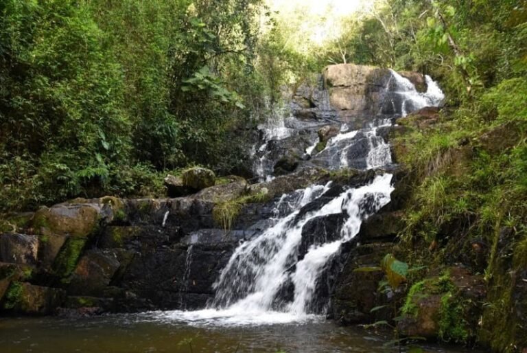 O que Fazer em Juquitiba: Um refúgio Natural Perto de São Paulo ...