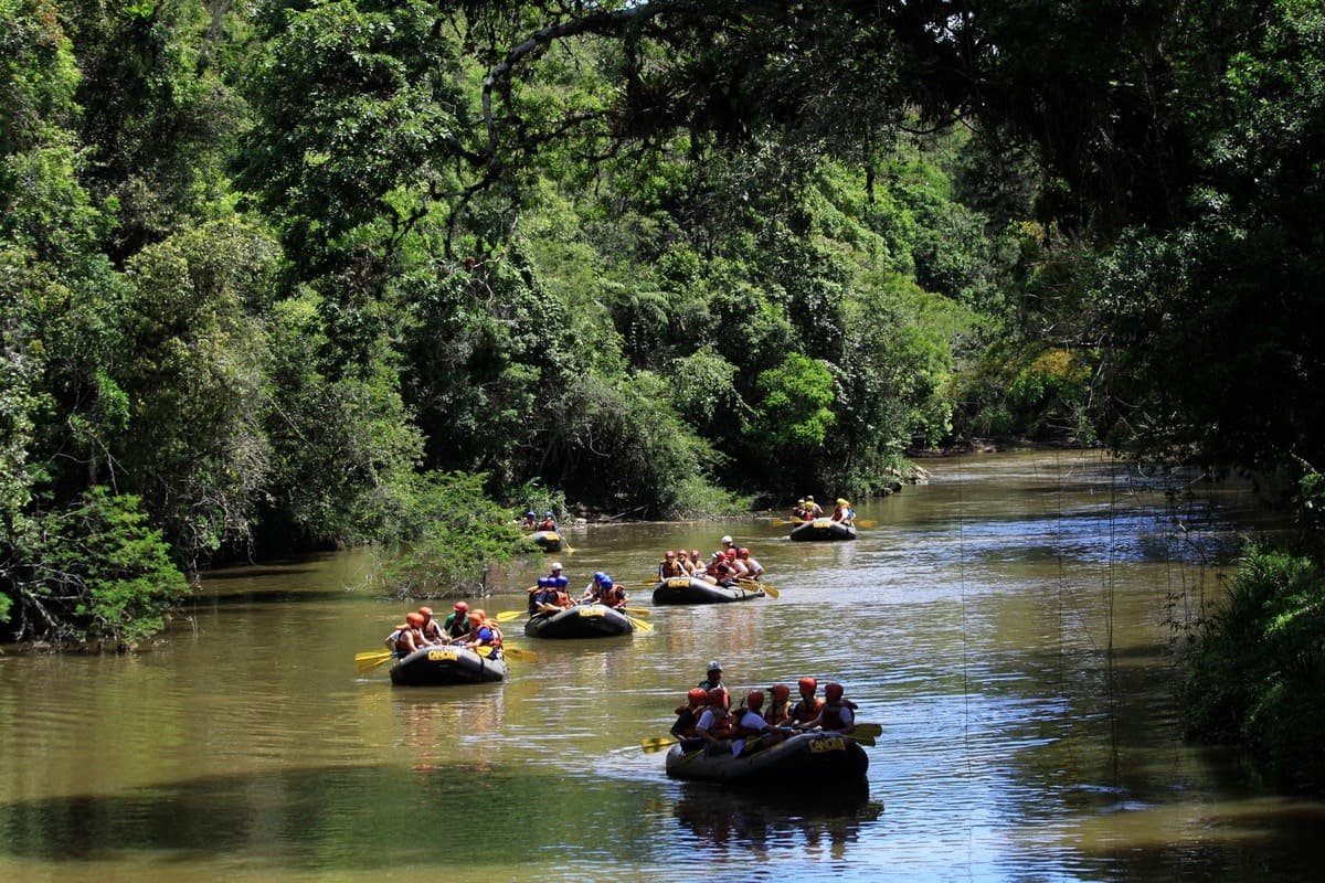 O que Fazer em Juquitiba: Um refúgio Natural Perto de São Paulo ...