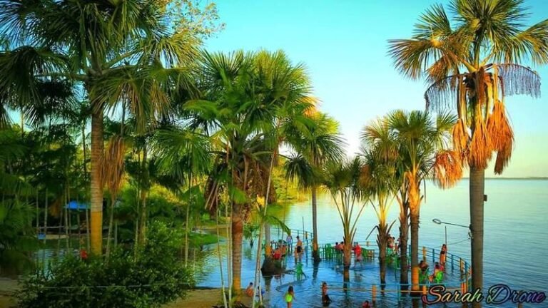 O que Fazer em Cametá: Paraíso Inexplorado na Amazônia Paraense ...