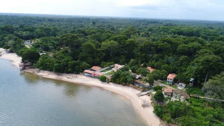 O que Fazer em Cametá: Paraíso Inexplorado na Amazônia Paraense ...