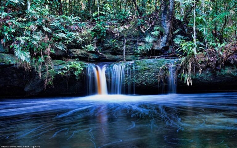 Parque Nacional do Jaú: Aventuras e Mistérios pela Amazônia » Turismo ...