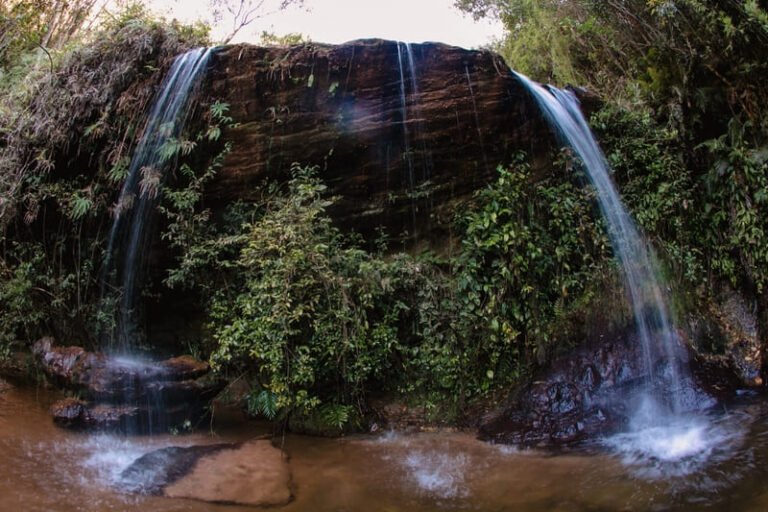 Descubra Lavras Novas: Um Guia Turístico Completo » Turismo de Natureza